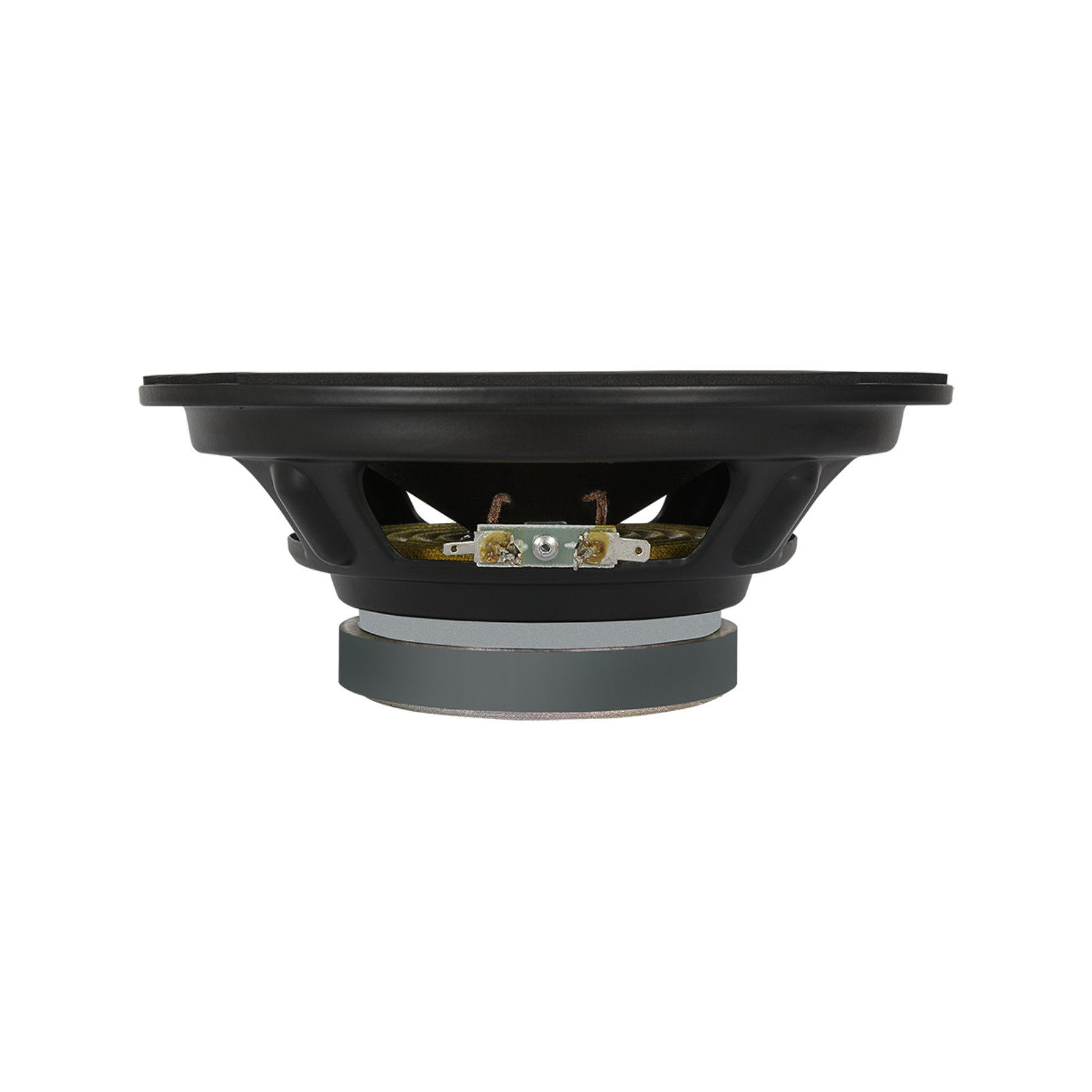 JBL Woofer 8 PX | Woofer